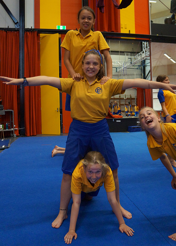 Real Life Adventures â€“ Curiosity